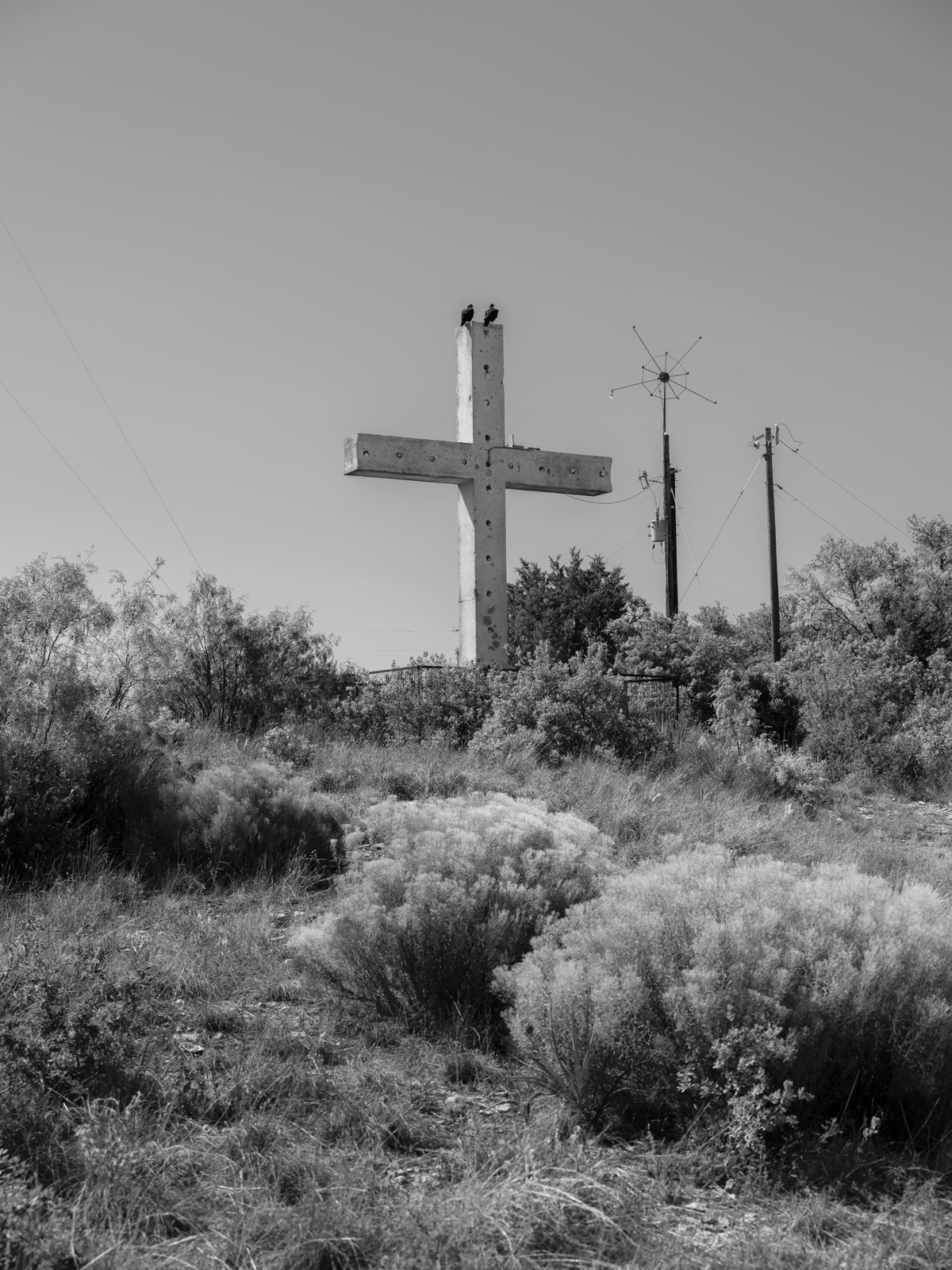 Cross, Texas – Sherri Bunye Photography